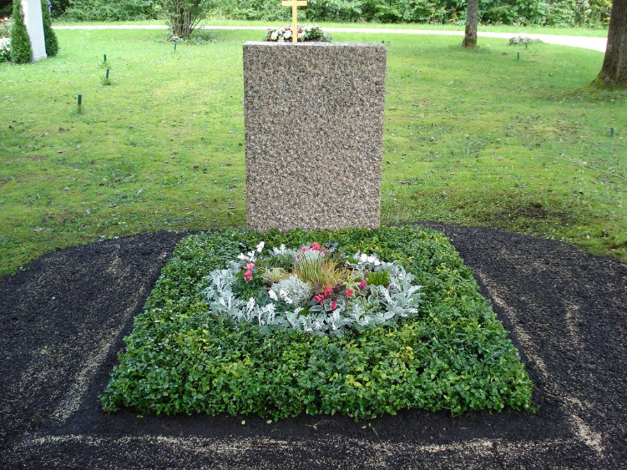 euonymus-bepflanzung-zweidrittel-rund-grabpflege-michael-brumm-muenchen ...